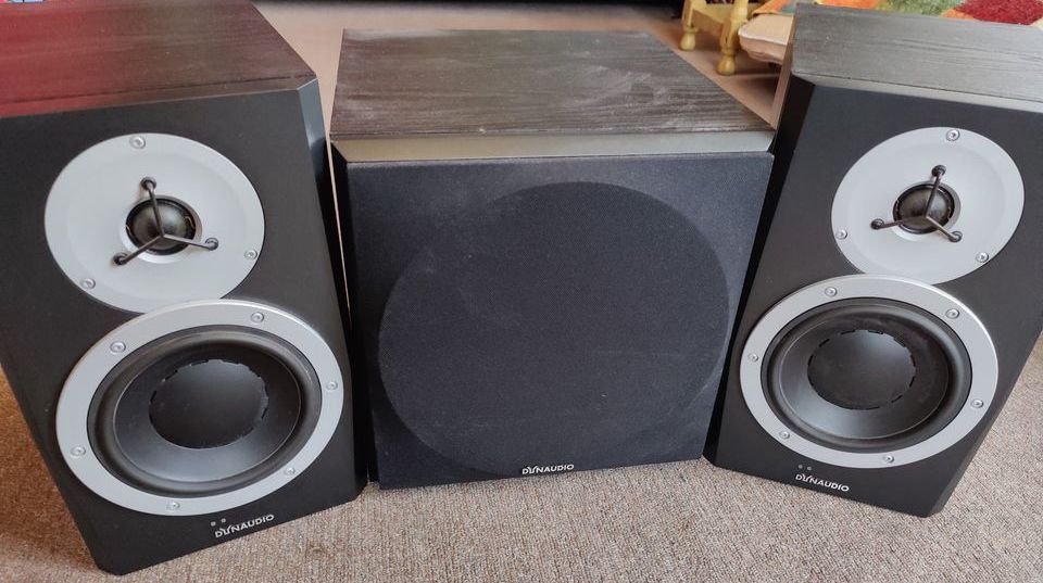 Why Do My Speakers Sound Muffled? Reasons + Fixes!